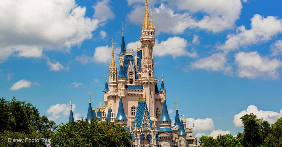 Think You’ve Done It All? Think Again! 8 Disney World Experiences We ...