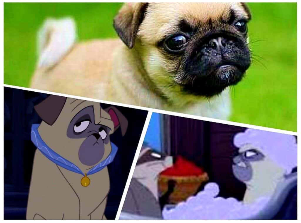Here Are Your Favorite Disney Dogs as Puppies! : Disney Fanatic