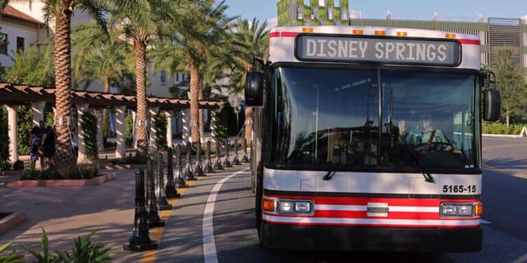 CARNAGE at Disney: Two Resort Buses Crash With "Ton of Damage" as ...