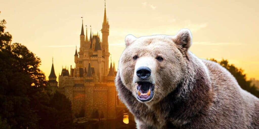 Walt Disney World Has a Bear Problem : Disney Fanatic