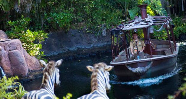 Disney Cast Members Injured in Chemical Spill : DisneyFanatic.com