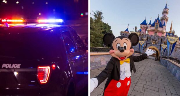 Police Pursuit Ends With Car Crash at Disney : DisneyFanatic.com