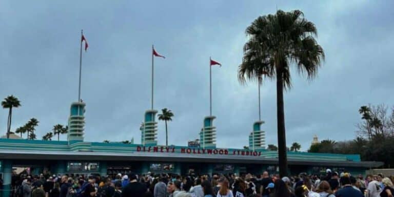 Arrest Inside Disney World Raises Questions After Deadly Fireworks Incident