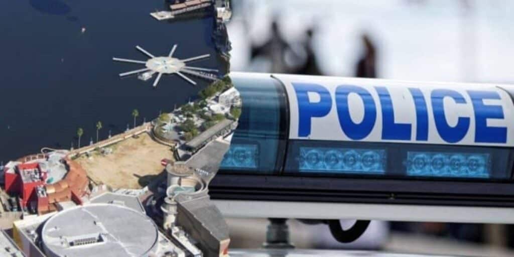Arrest Inside Disney World Raises Questions After Deadly Fireworks ...