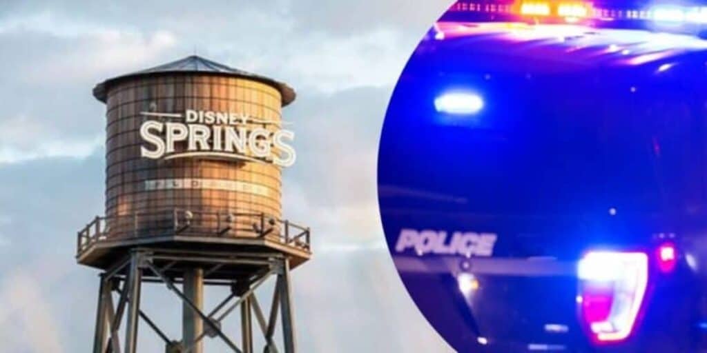Arrest Inside Disney World Raises Questions After Deadly Fireworks ...