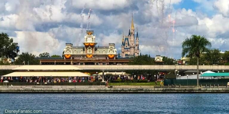 Arrest Inside Disney World Raises Questions After Deadly Fireworks ...