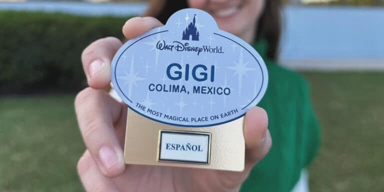 Decoding Disney Cast Member Nametags: The Story Each Cast Member Wears ...