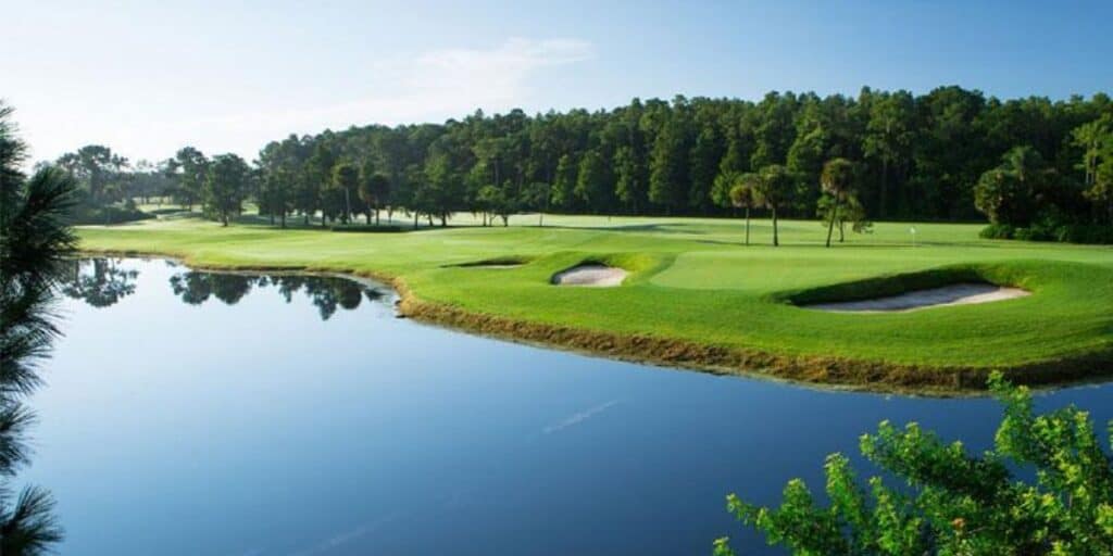 Golfers Just Found a New Disney Character Waiting for Them on Disney ...