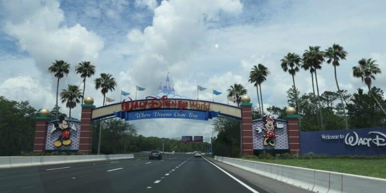 Arrest Inside Disney World Raises Questions After Deadly Fireworks ...
